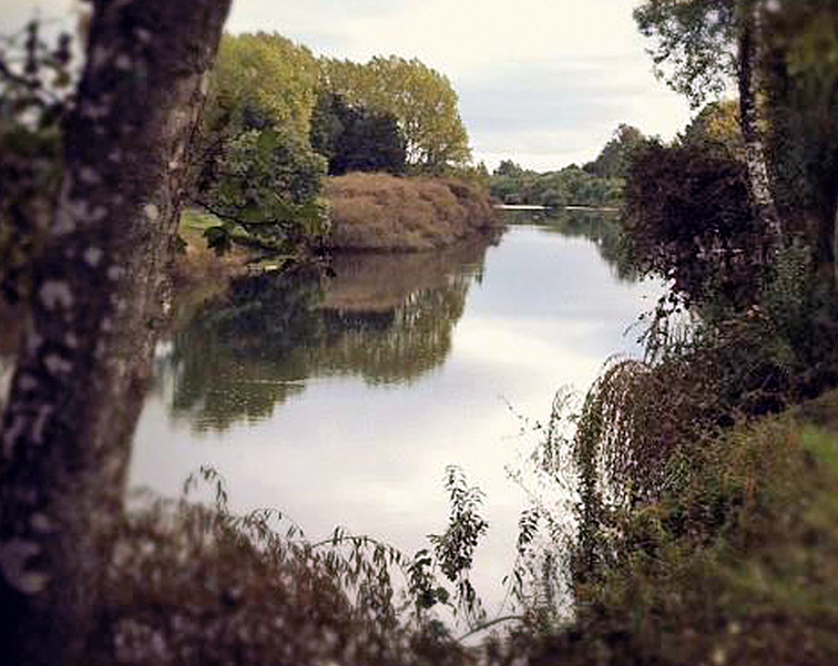 Río Cruces – patrimoniomariquina